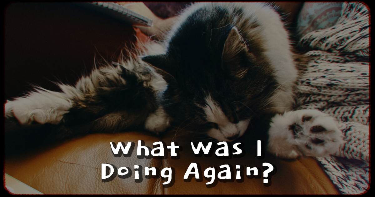 ADHD Quotes – What Was I Doing Again?